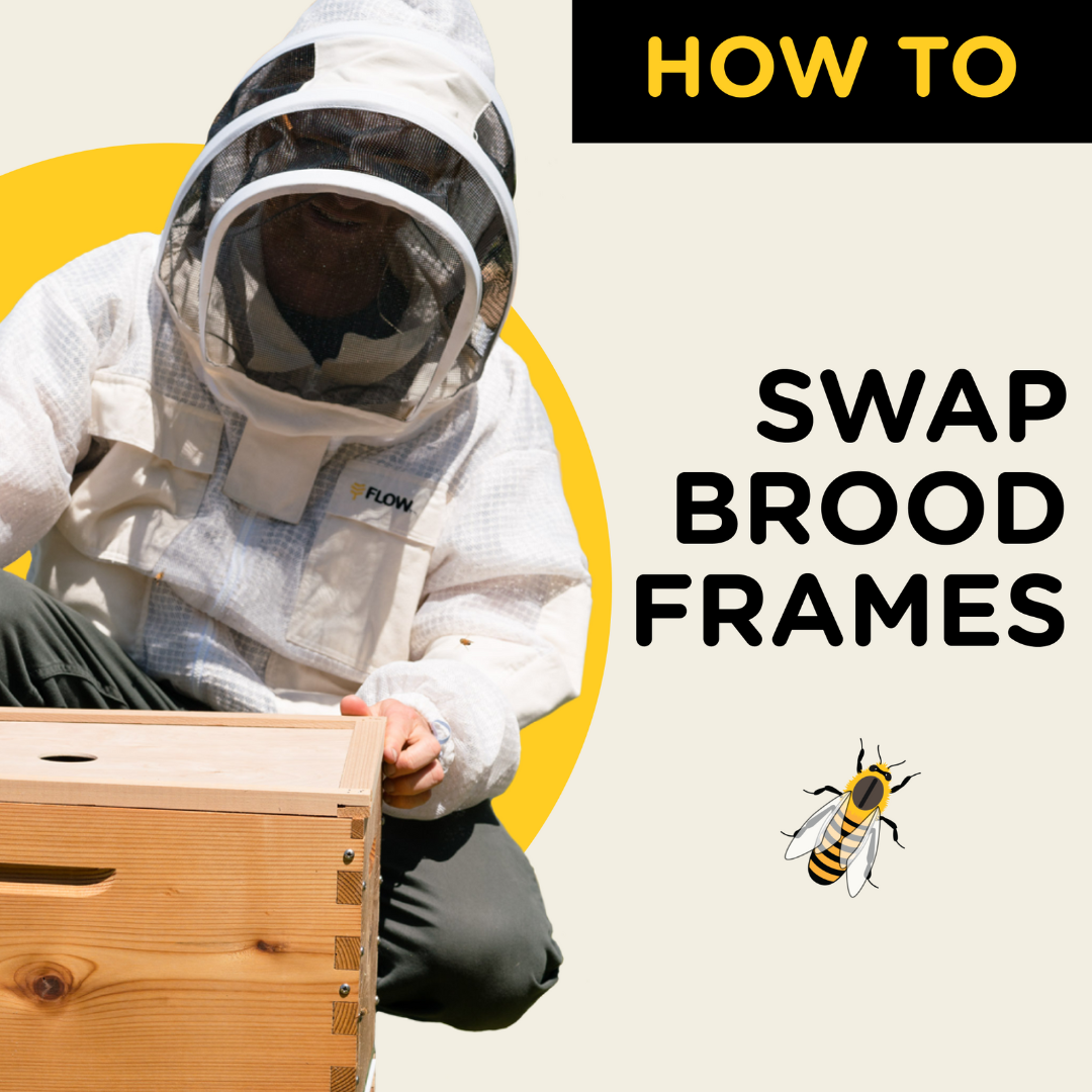 Foundationless Brood Frames | Foundationless fabulousness - Flow Hive AU