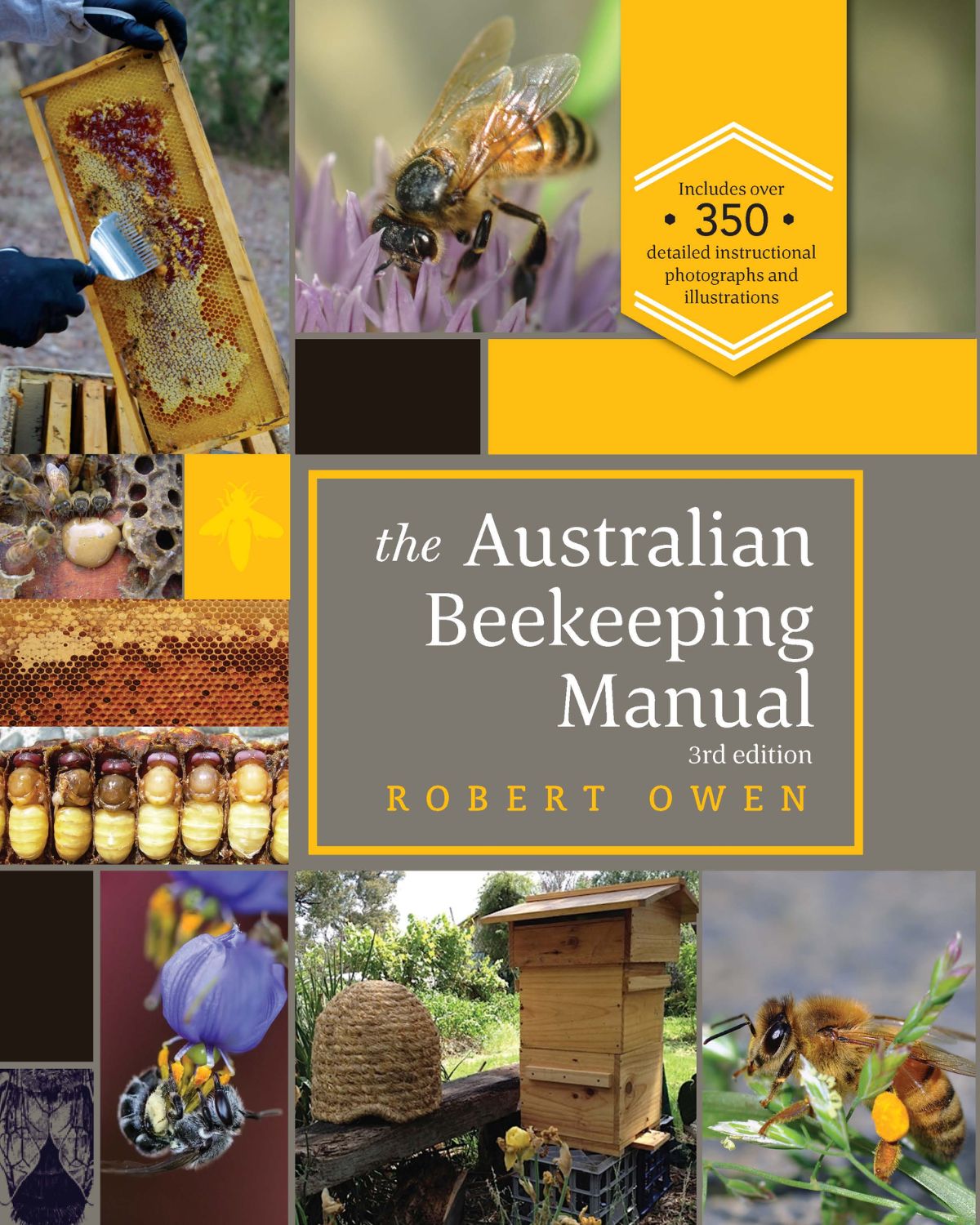 Bees of Australia: A Photographic Exploration - Flow Hive AU