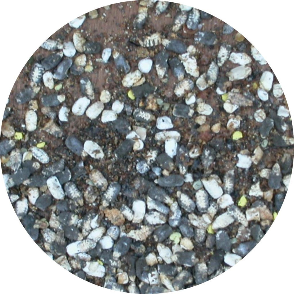 Chalkbrood - Flow Hive AU