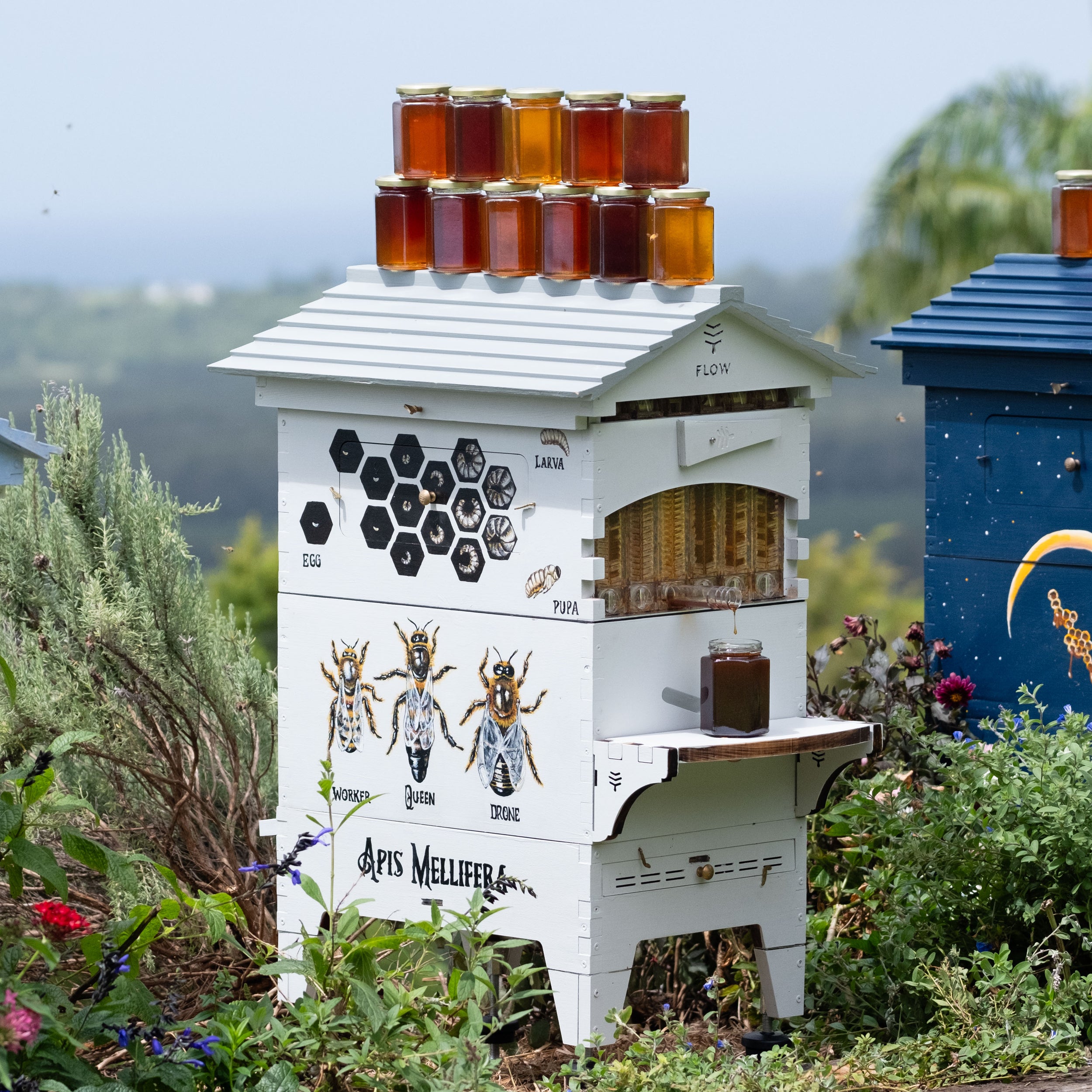 Flow Hives | Bee hives invented and manufactured in Australia - Flow ...