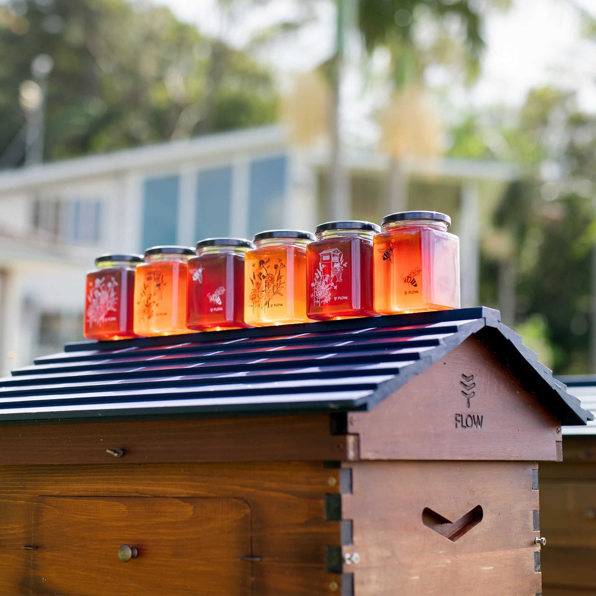 Flow Honey Jar Gift Set - Flow Hive AU