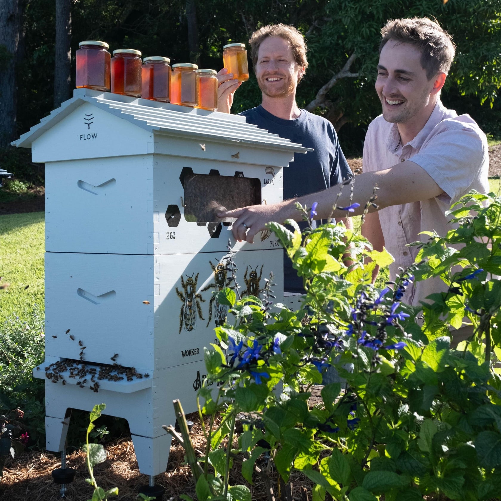 Flow Hive 2 | Honey straight from the beehive - Flow Hive AU