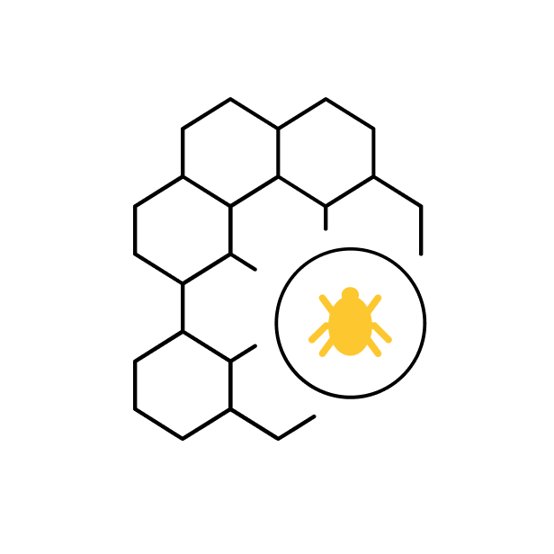 Braula Fly - Flow Hive AU