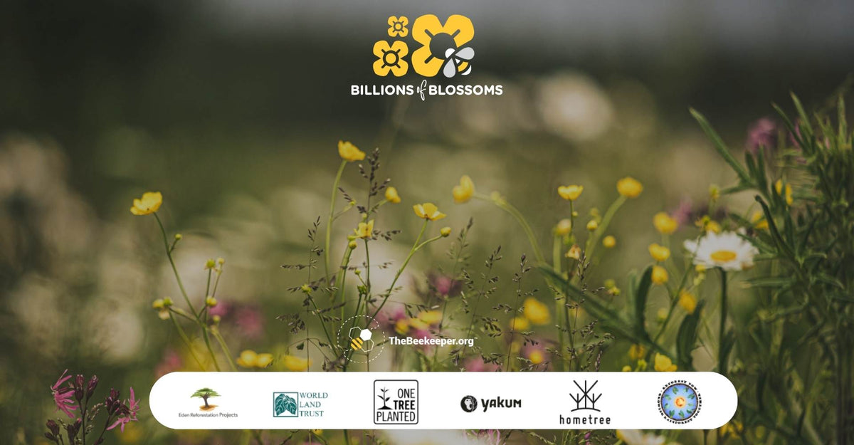 Impact - Flow Hive AU