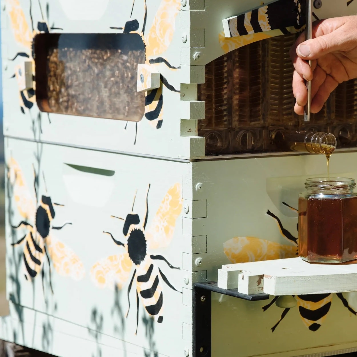 Flow Hive Classic | The perfect starter beehive - Flow Hive AU