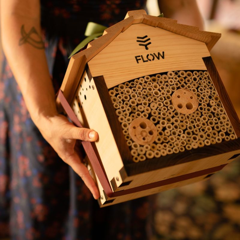 Flow Pollinator House l Flow Hive - Flow Hive AU