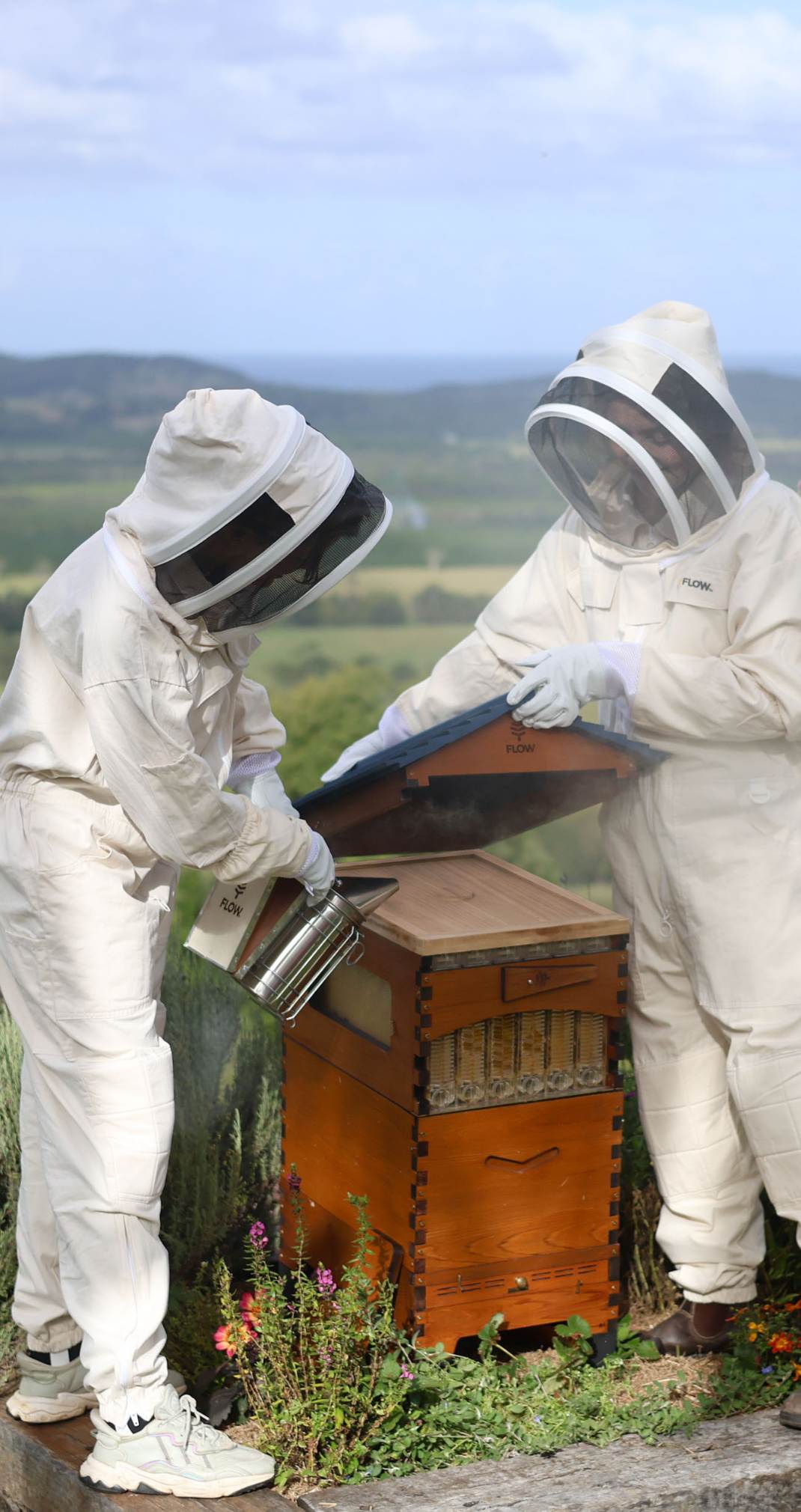 How a Flow Ambassador can help you get started - Flow Hive AU