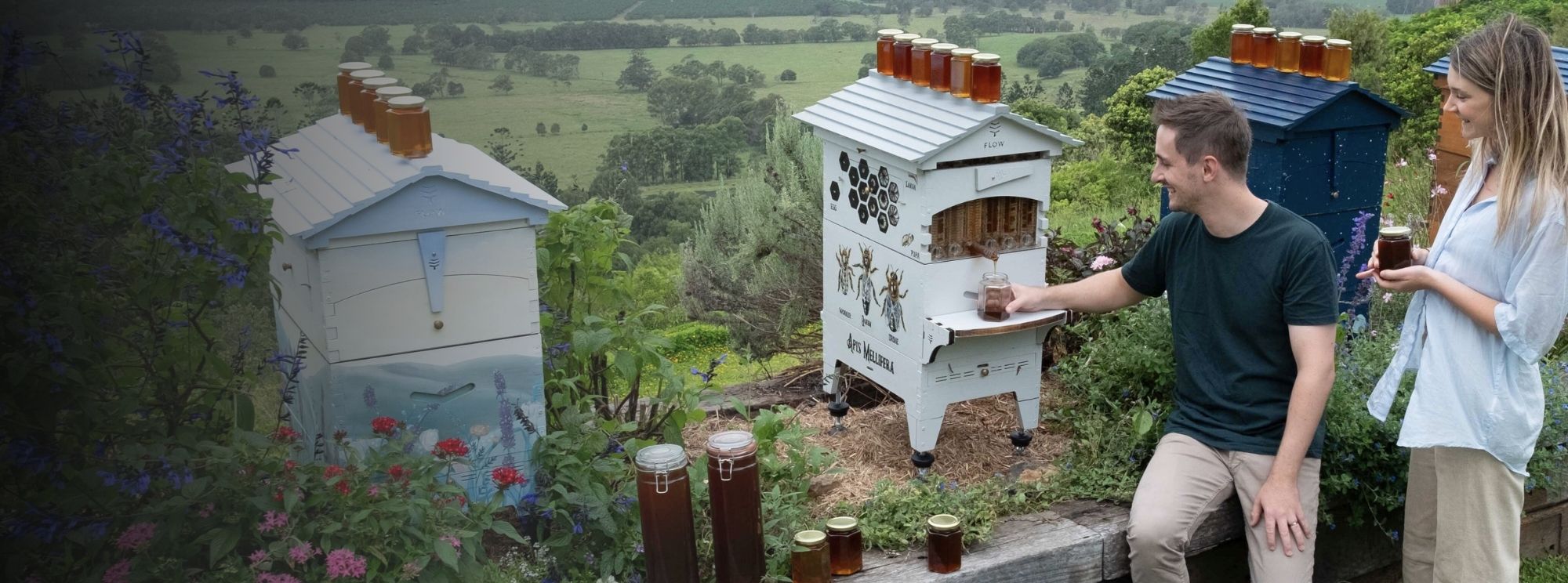 Autumn Beekeeping For Experienced Beekeepers | Flow - Flow Hive AU