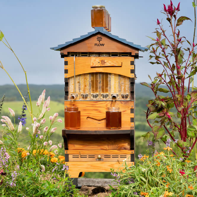 Flow Super Lifter - Flow Hive AU