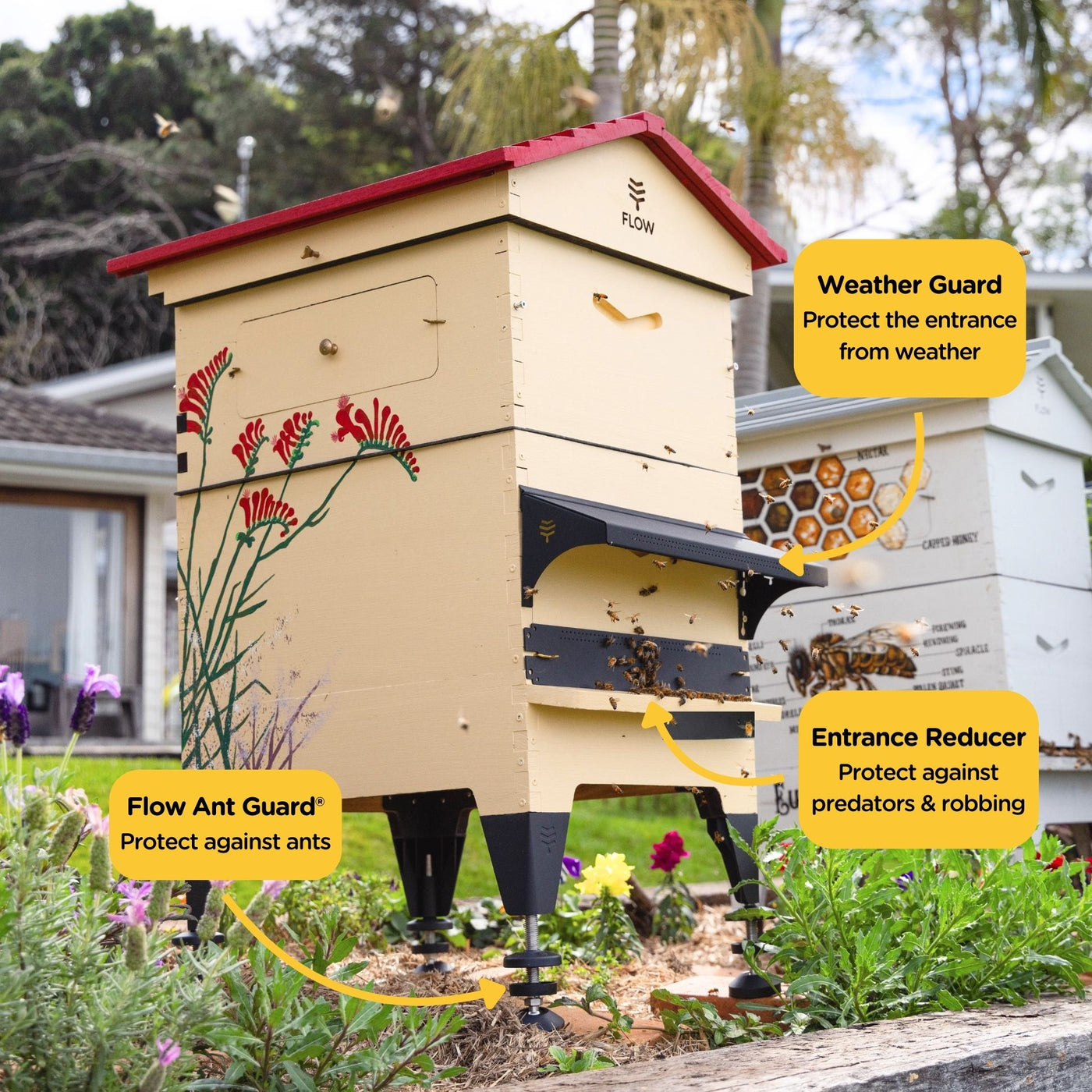 Deluxe Bundle - Flow Hive 2 now with ThermoGrade™ - Flow Hive AU