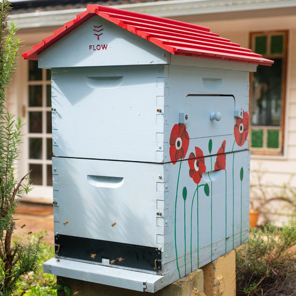 Flow Hive Classic Upgrade Kit - Flow Hive AU