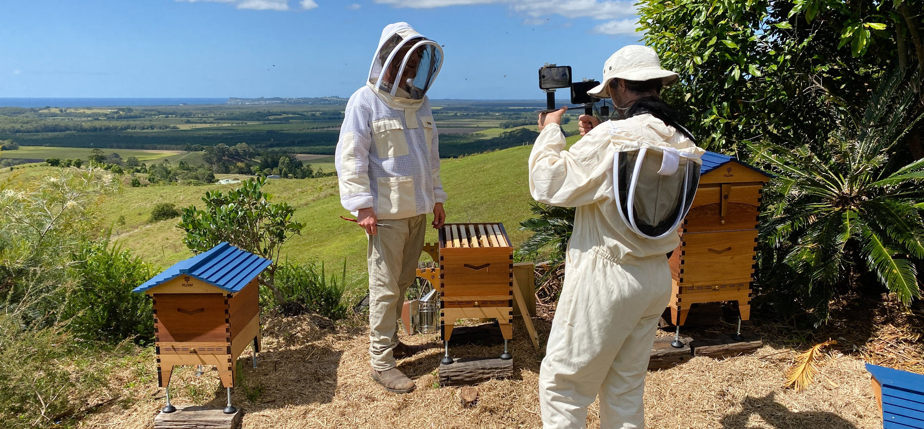 Livestream from the Flow Apiary. Ask questions! - Flow Hive AU