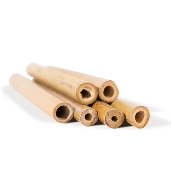 Flow Pollinator House l Flow Hive - Flow Hive AU