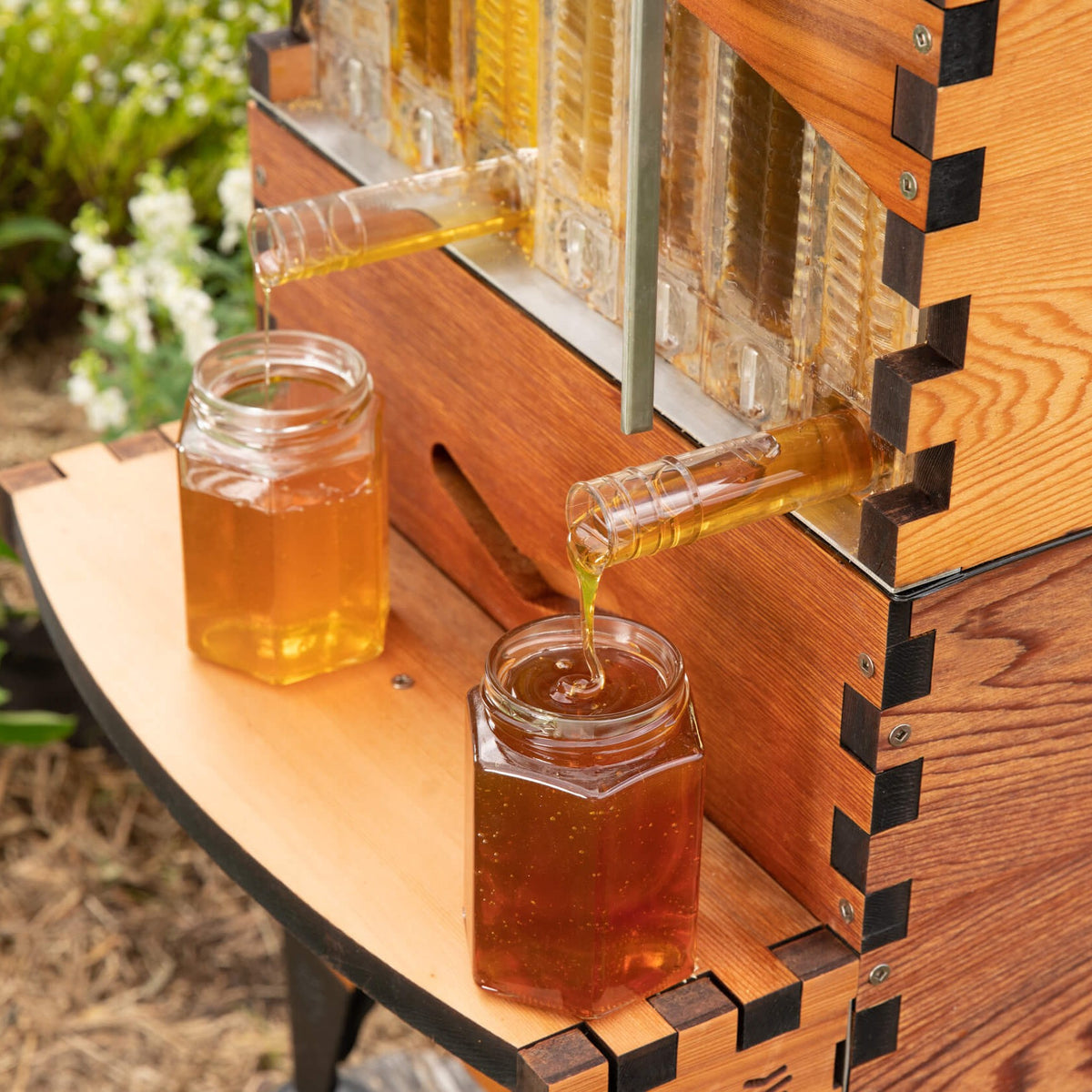 Spring Guide for Experienced Beekeepers - Flow Hive AU