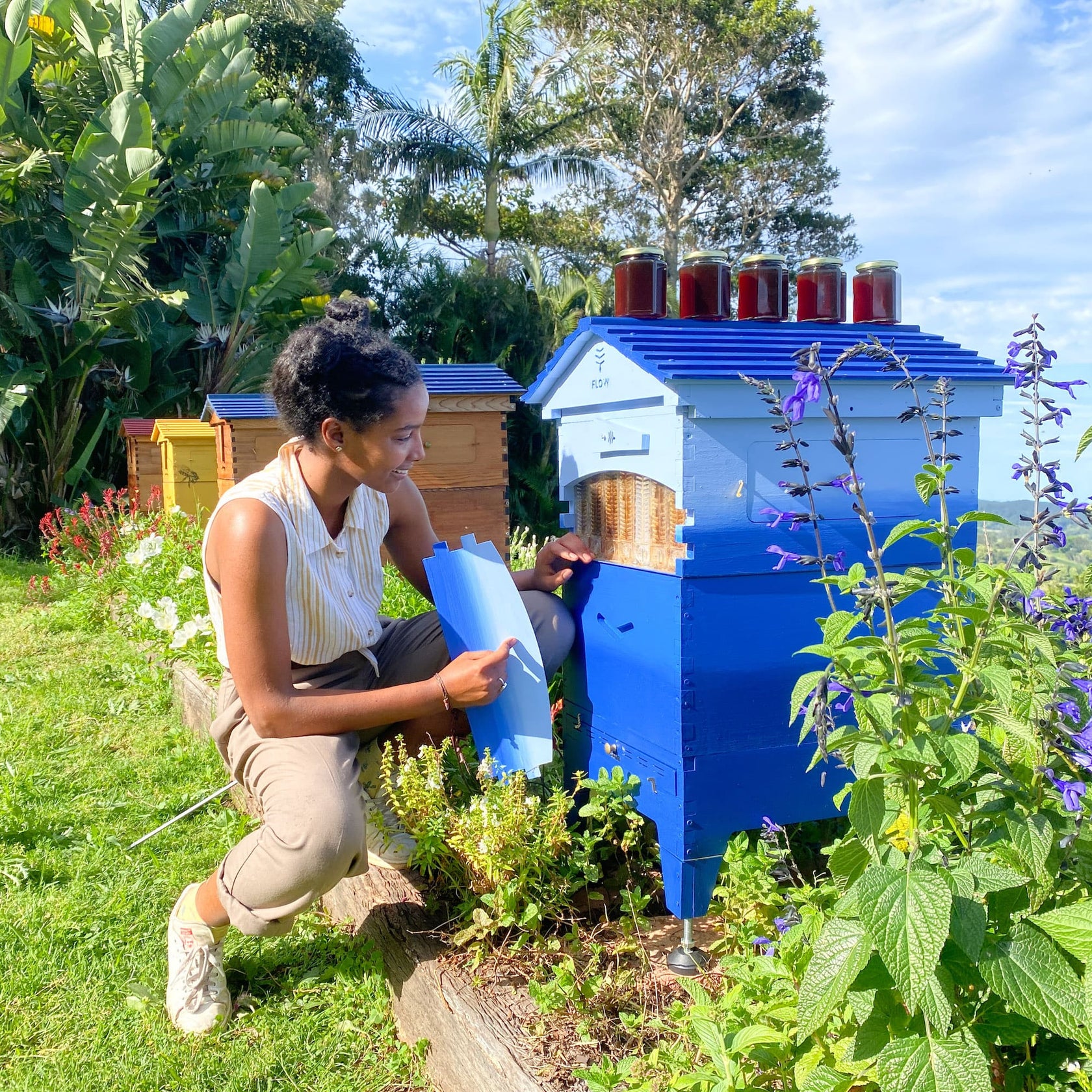 Flow Hive 2 | Honey straight from the beehive - Flow Hive AU